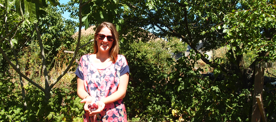 Fernwood NRG – Spring-Ridge-Commons-Header-Fernwood-NRG-Victoria-960×425